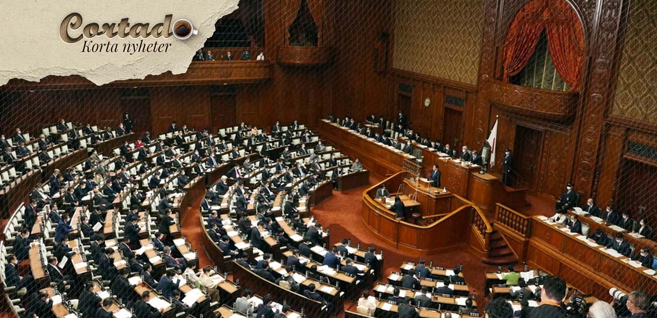 Japan legaliserar gemensam vårdnad om barn för skilda par – Kvartal